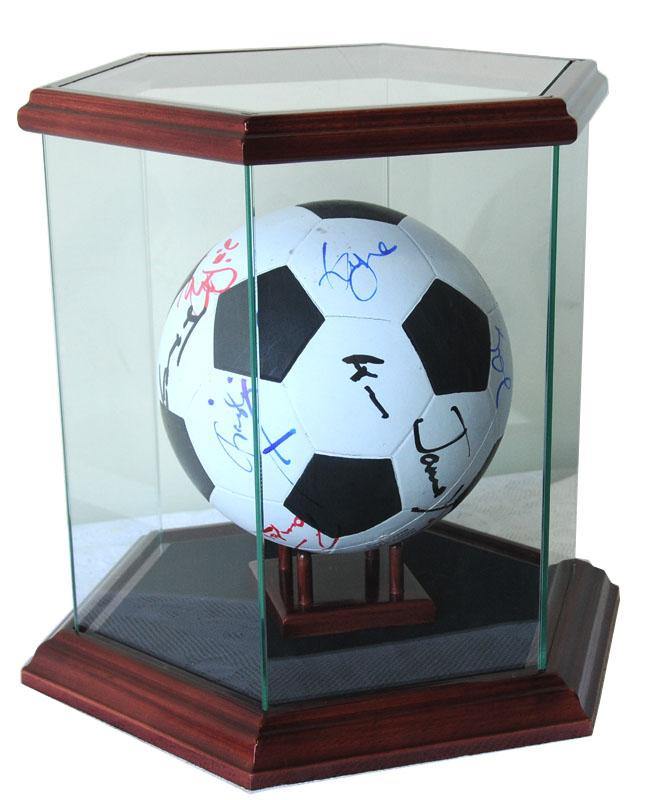 Soccer Display Cases