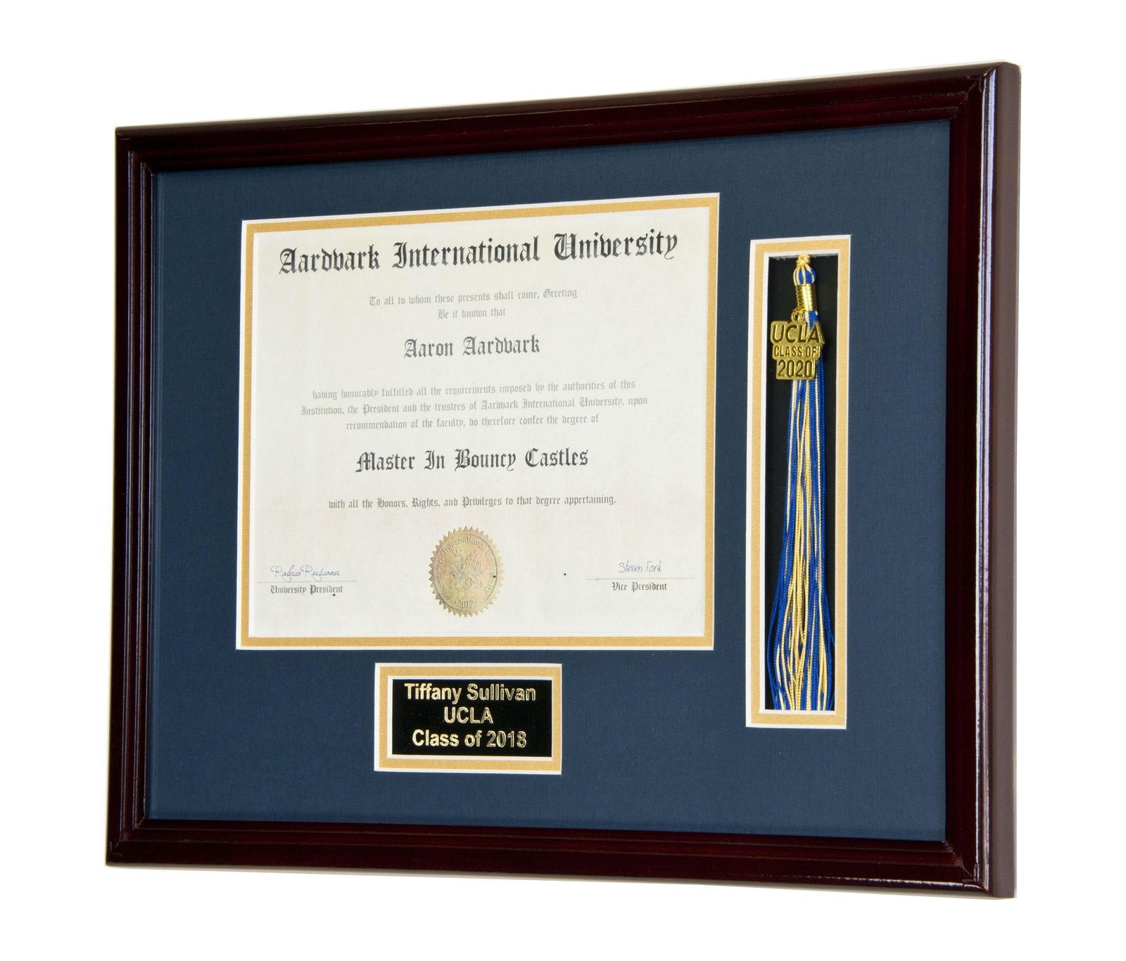 Diploma and Graduation Tassel Display Frame (w/ Custom Matting Colors)