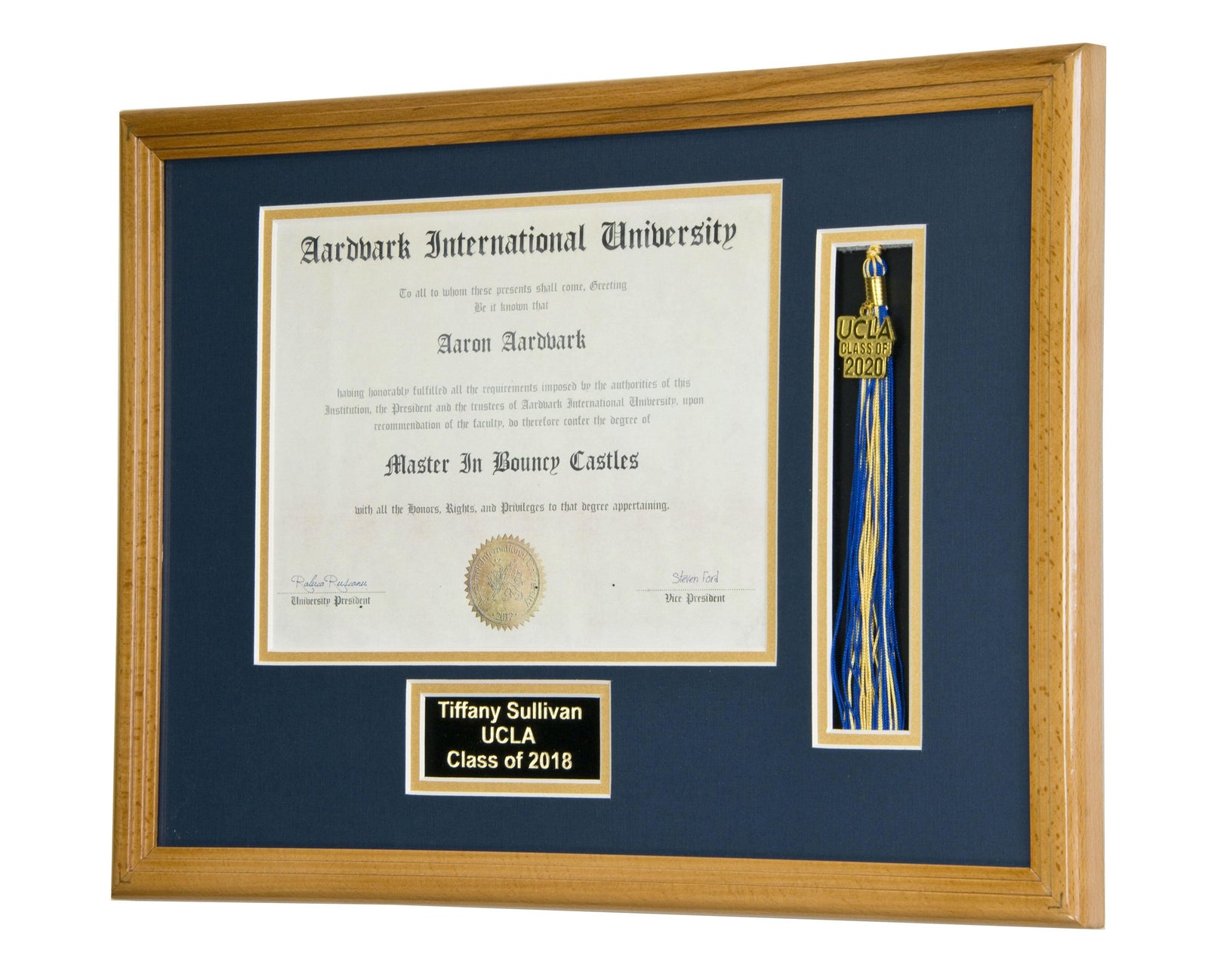 Diploma and Graduation Tassel Display Frame (w/ Custom Matting Colors)