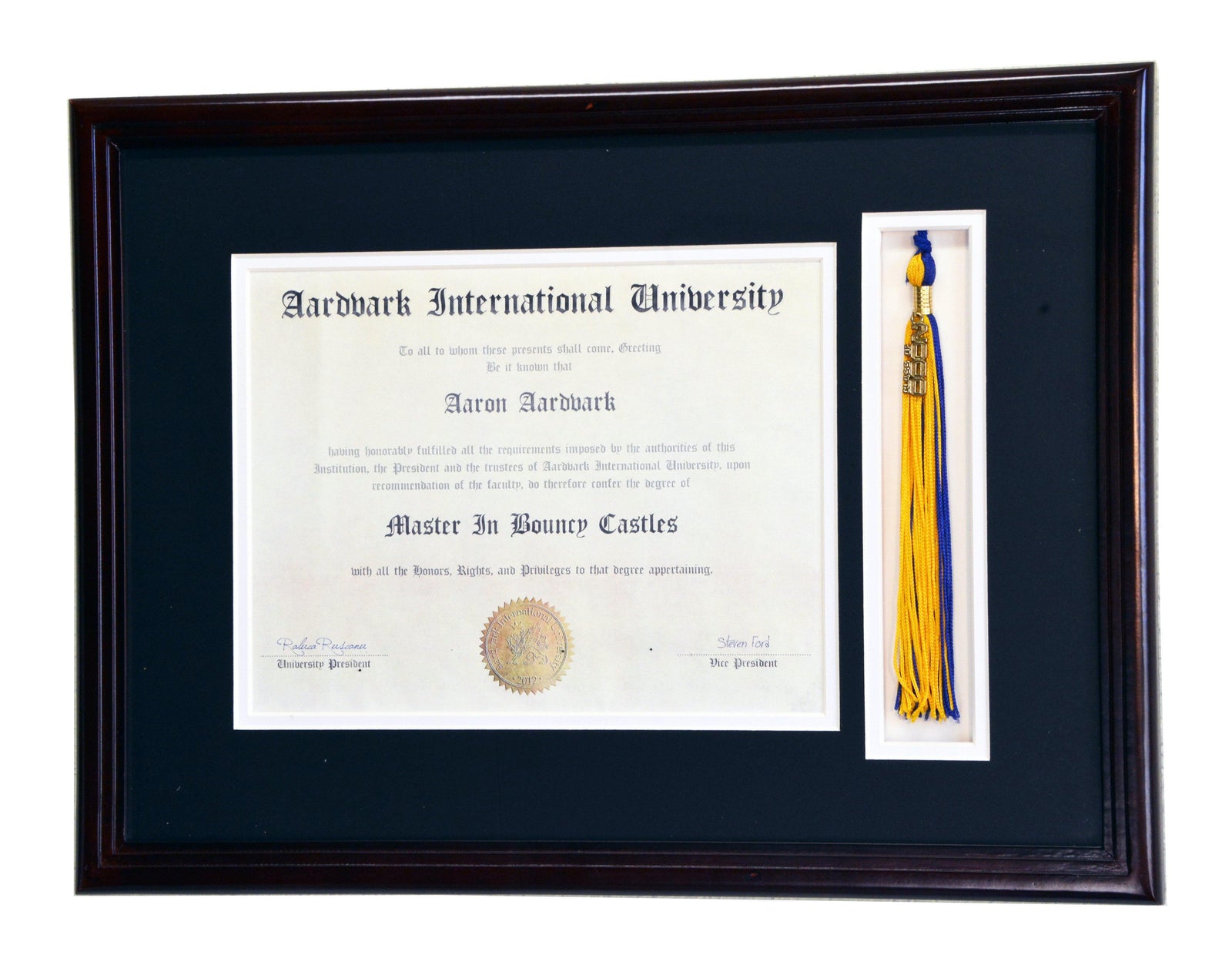Diploma and Graduation Tassel Display Frame (w/ Custom Matting Colors)